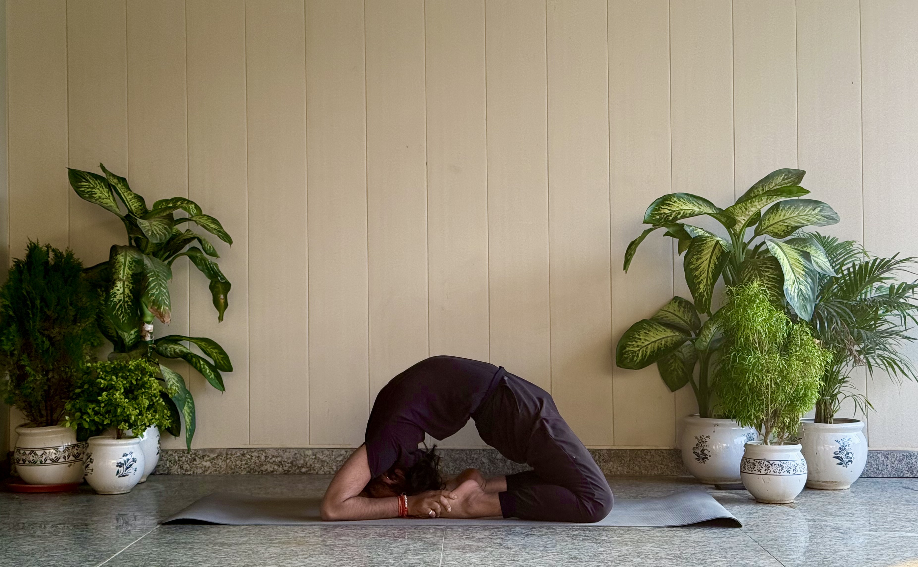 Vedic Vibrance - Yoga School in Rishikesh, India